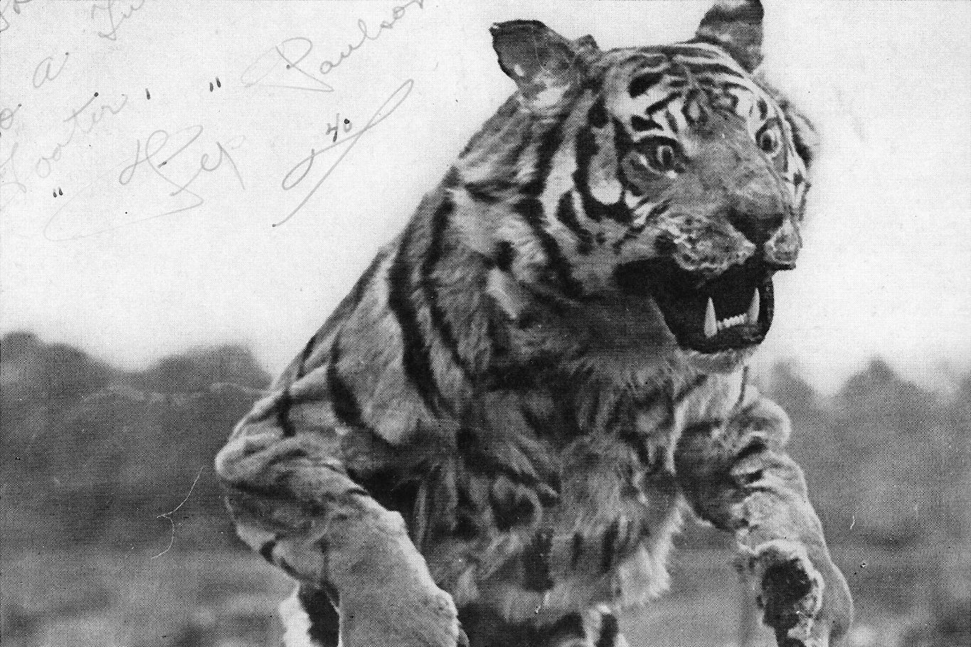 New Obie to Debut Friday - Massillon Tiger Swing Band